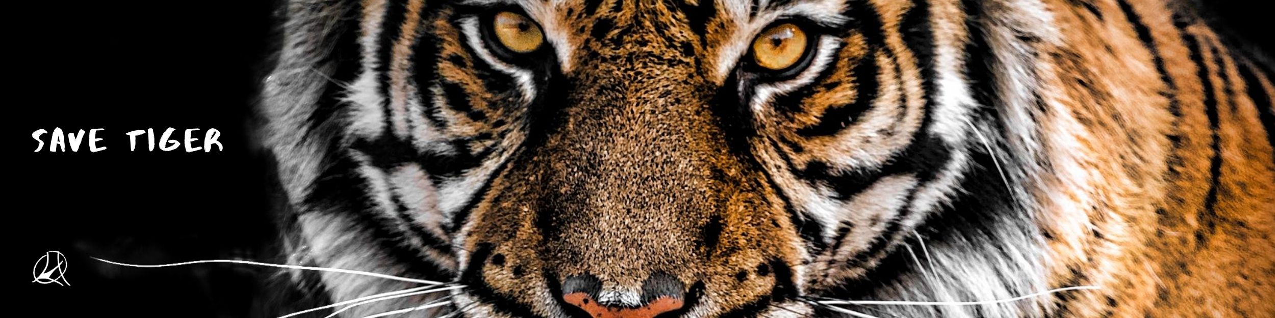 Do you know these facts about Tigers? – Sciteum