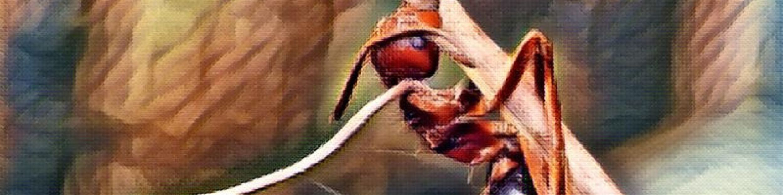 The Zombifying Fungus – Sciteum